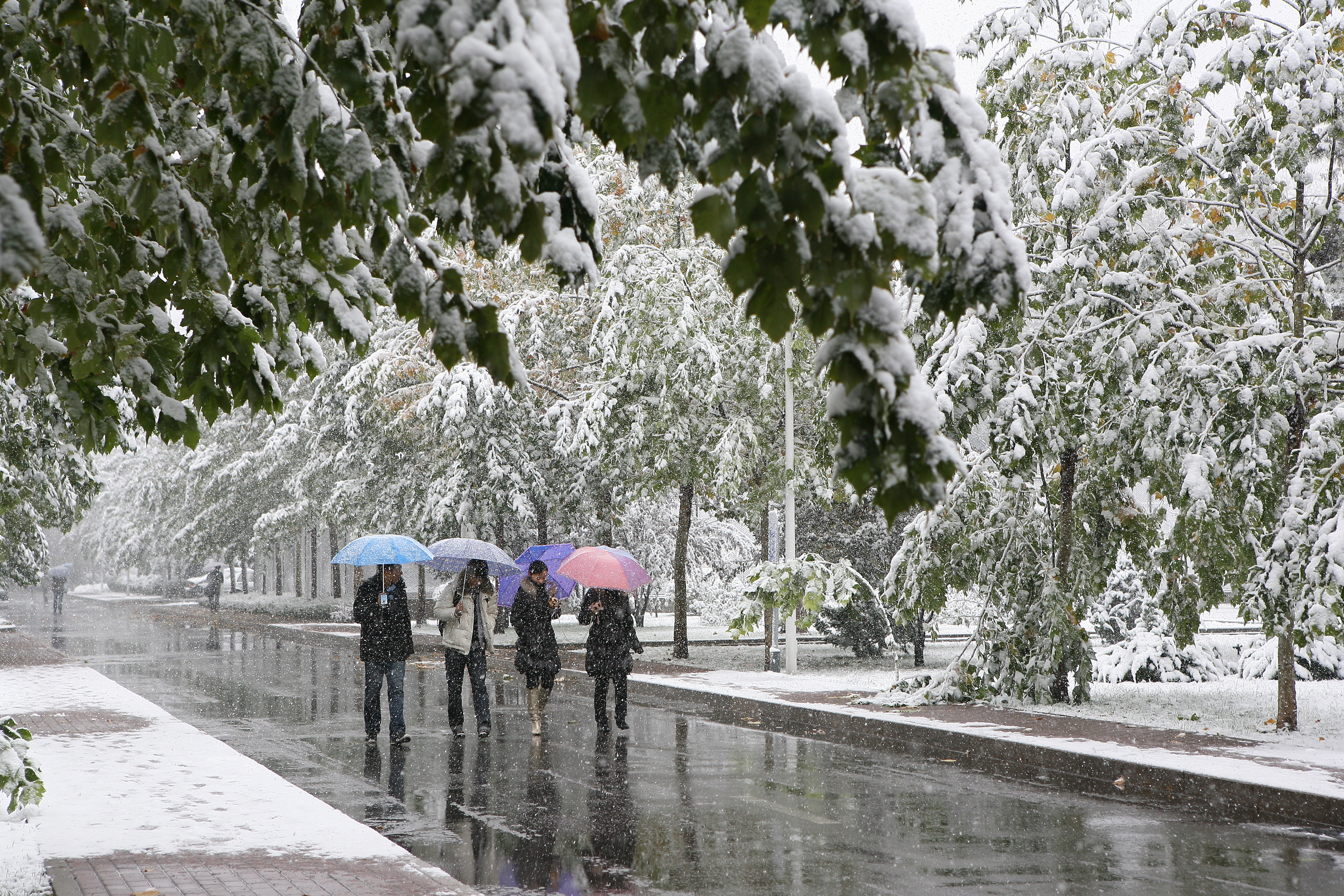 Home - University of Chinese Academy of Sciences
