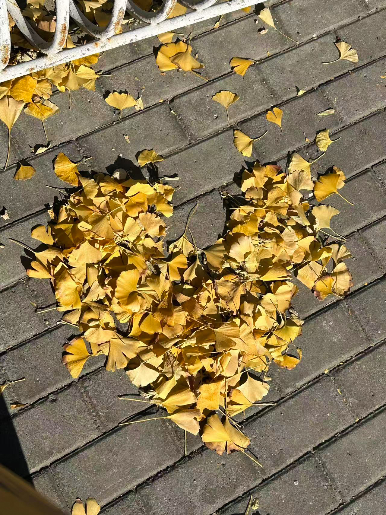 Home - University of Chinese Academy of Sciences