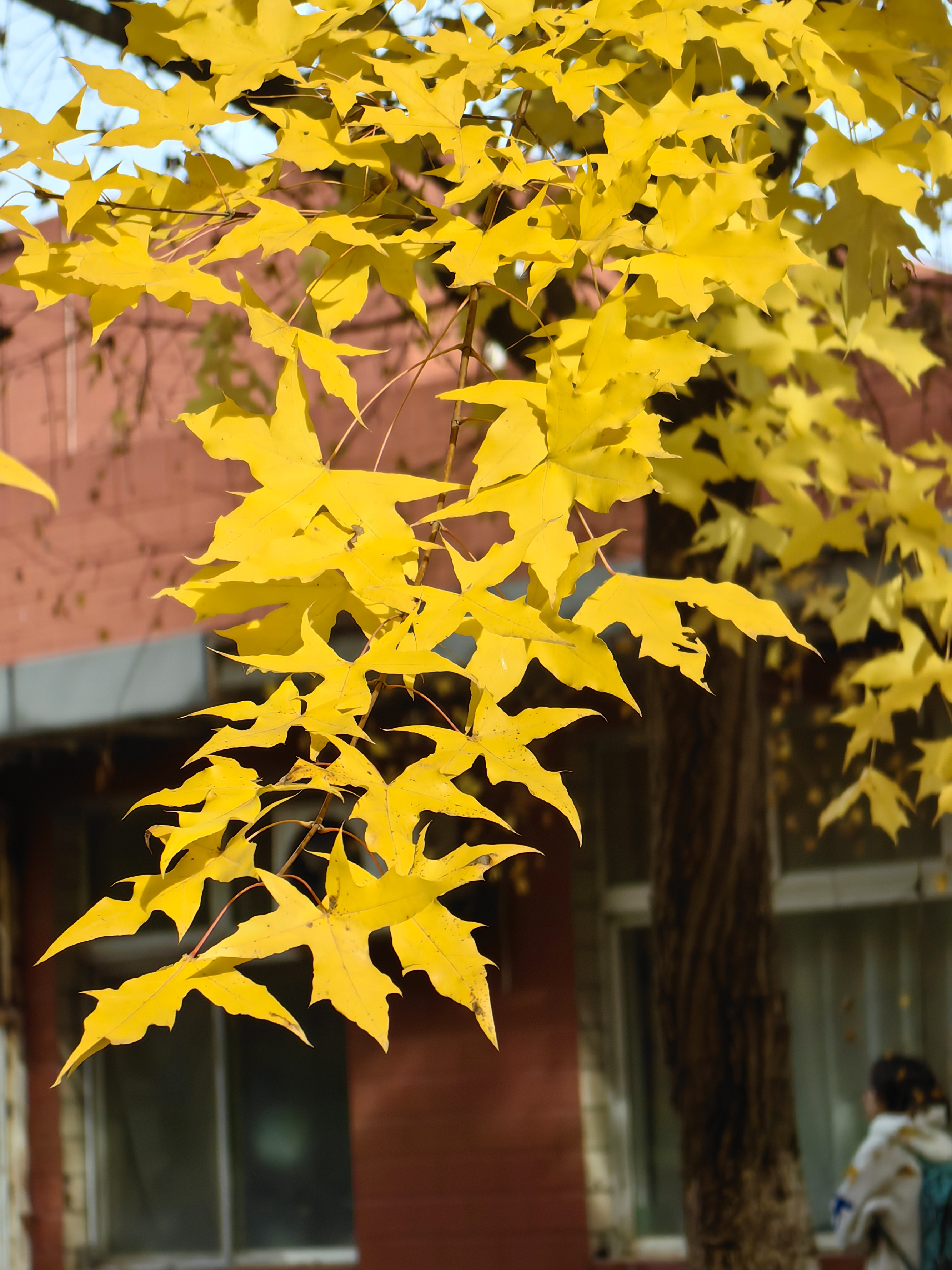 Home - University of Chinese Academy of Sciences