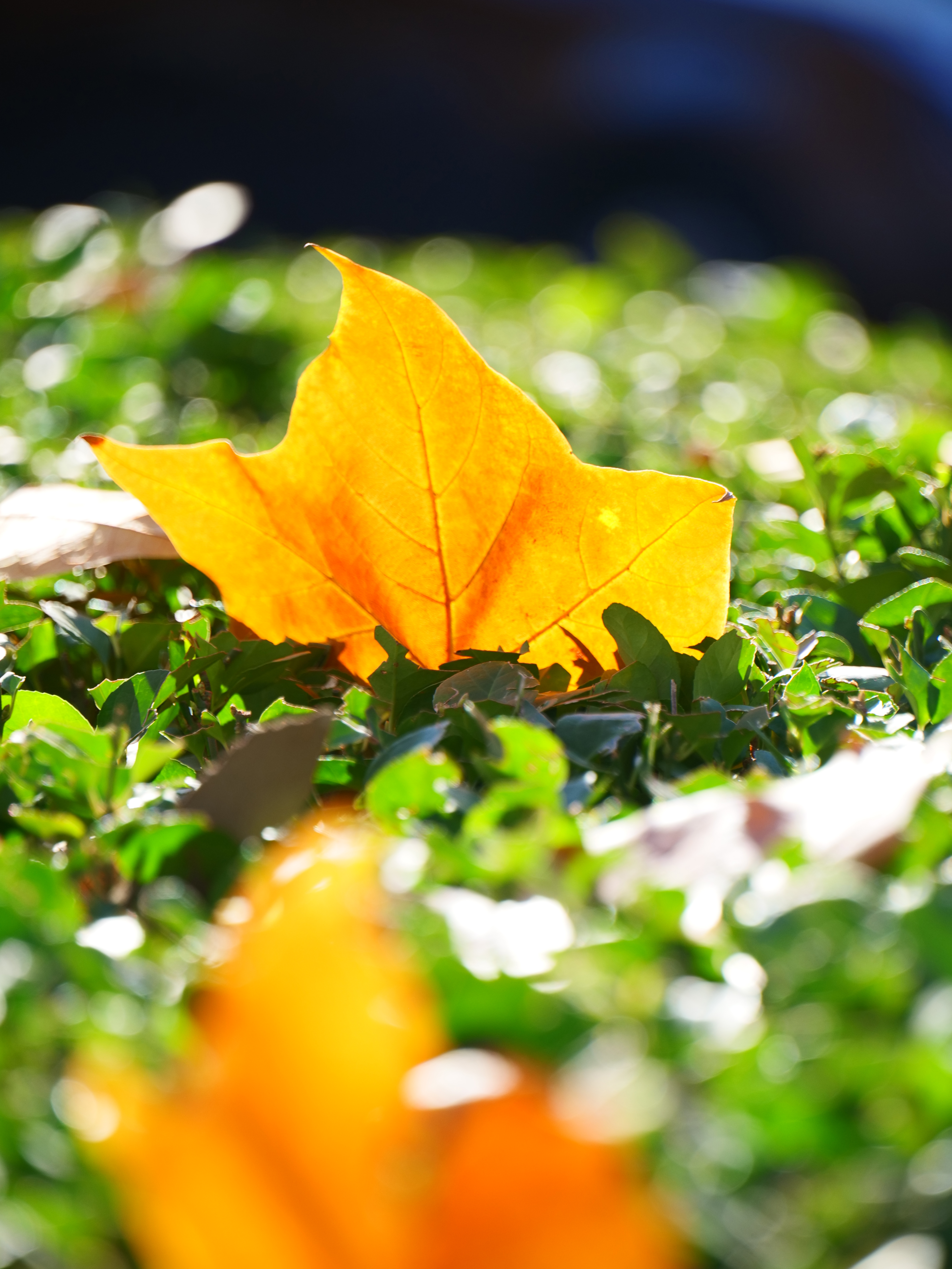 Home - University of Chinese Academy of Sciences