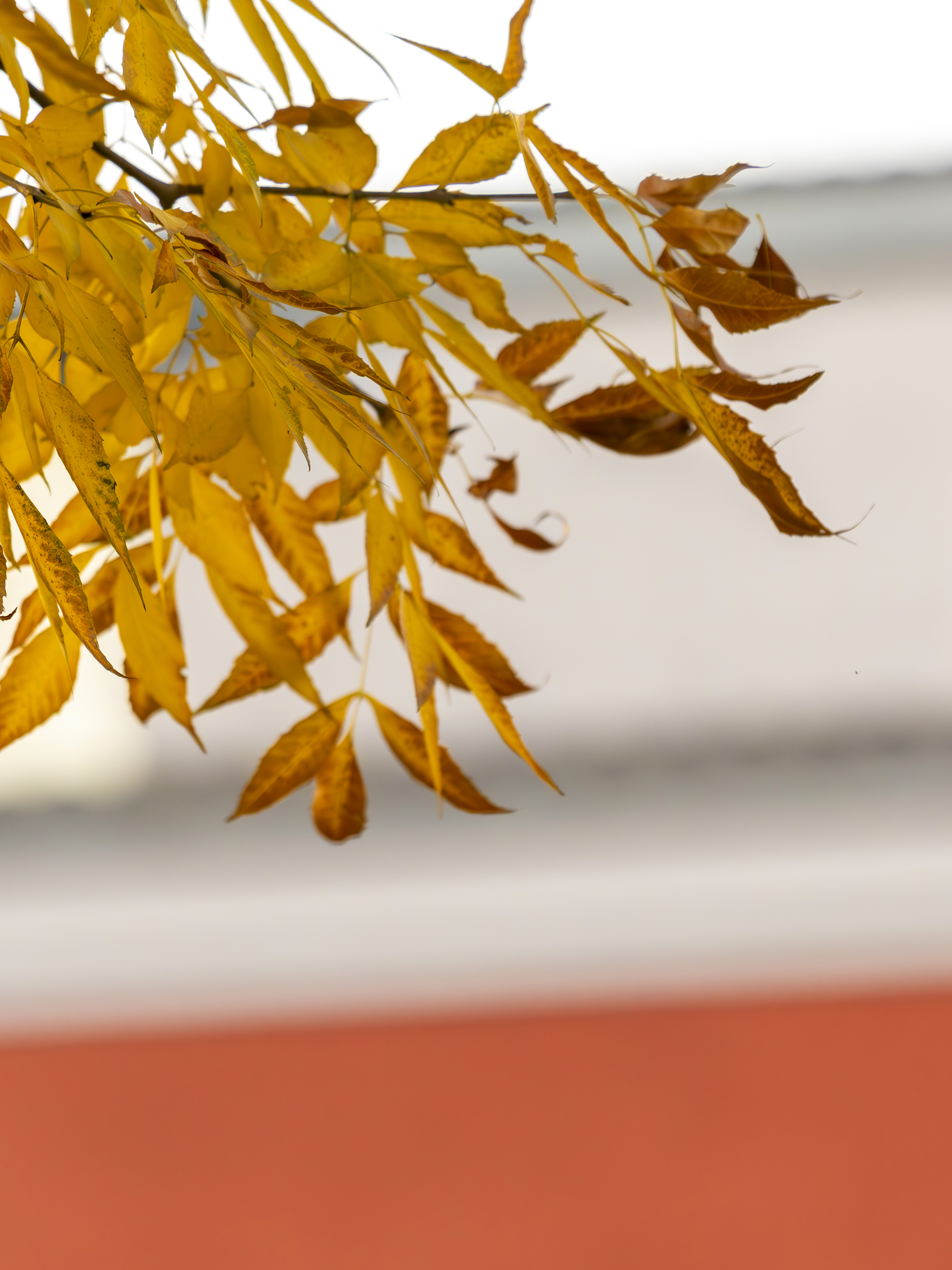 Home - University of Chinese Academy of Sciences